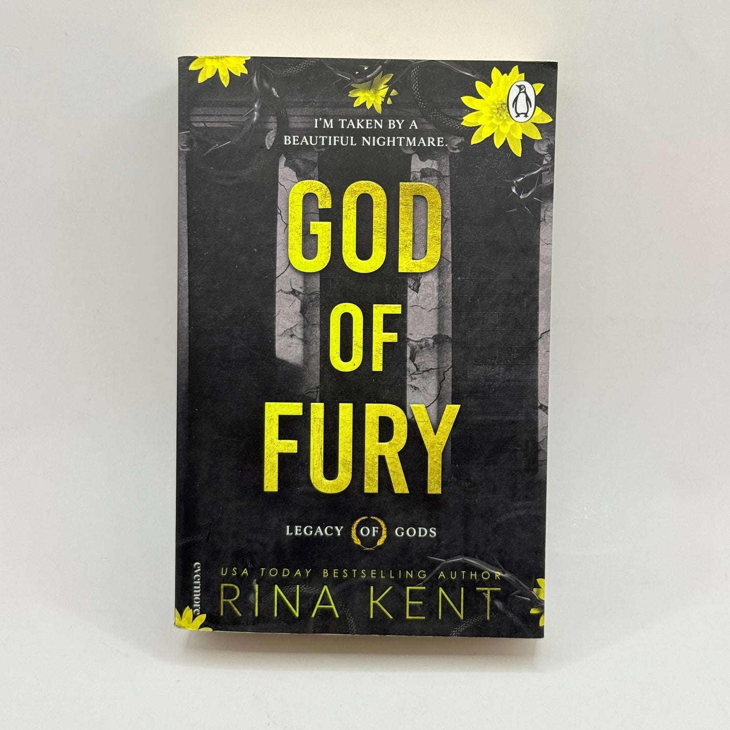 God of Fury by Rina Kent – The Value Junction