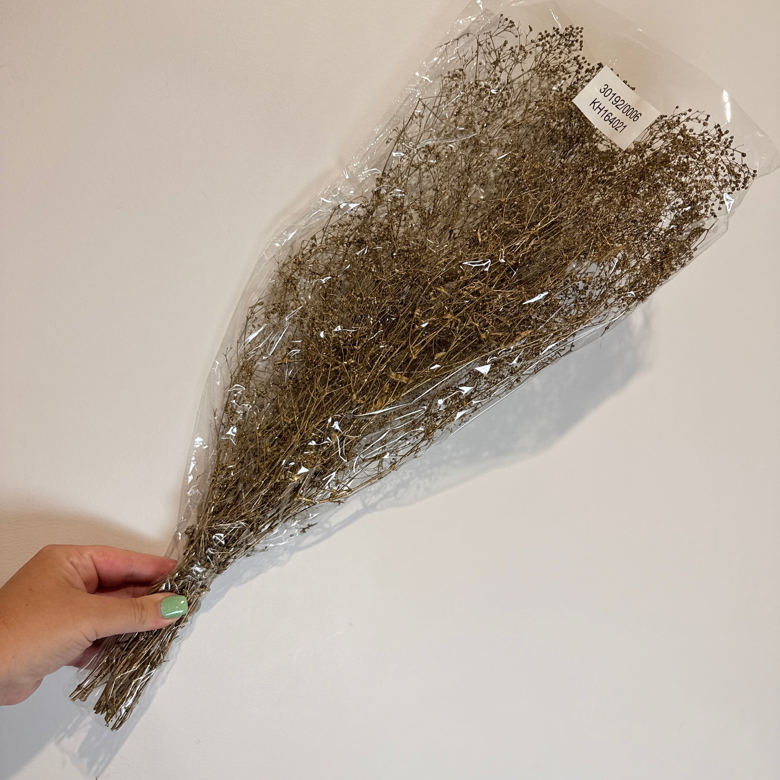 Gold Decorative Dried Stems – The Value Junction